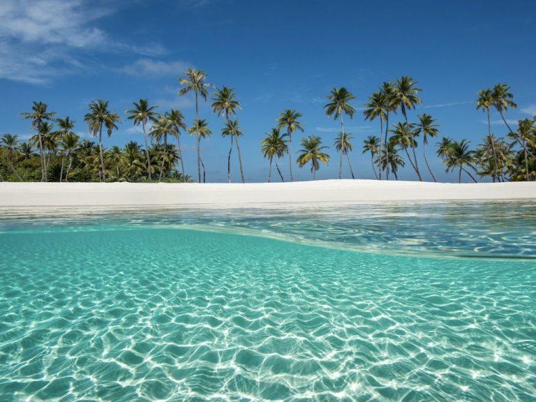 Hurricane Beryl: One Caribbean Canada outlines ways to help - TravelPress